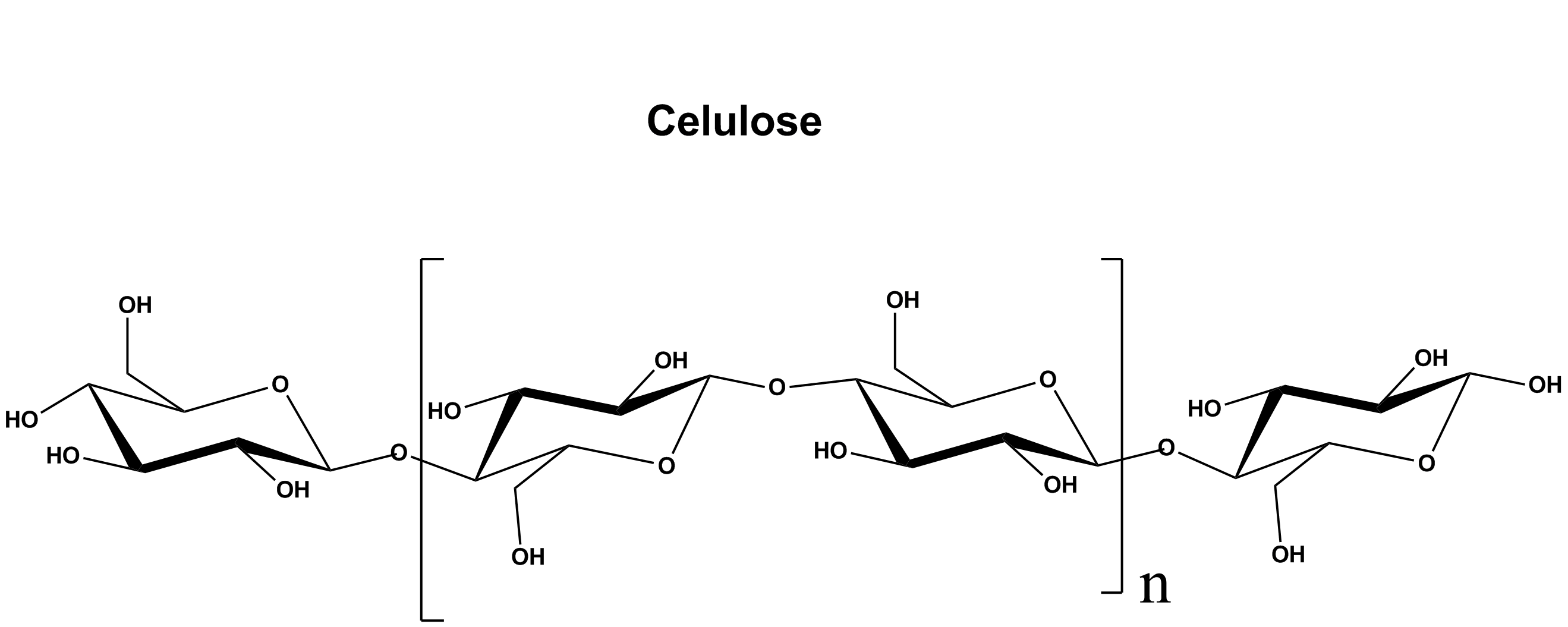 11h30min de 31 de dezembro de 2010