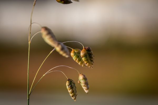 DOI : [ http://doi.org/10.24927/rce2019.00A ]