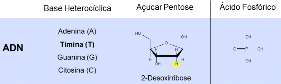 Figura 2 - Esquema ilustrativo dos elementos constituintes dos vários ...